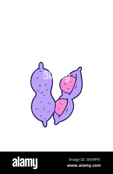 Cartoon illustration of two purple peas in a pod on a white background ...