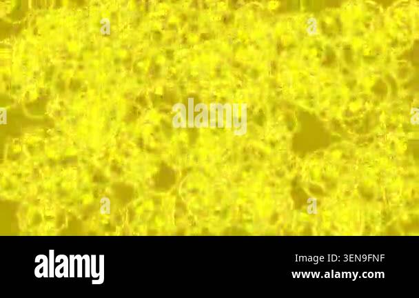 abstract background with a lot of colorful circles. the concept of ...