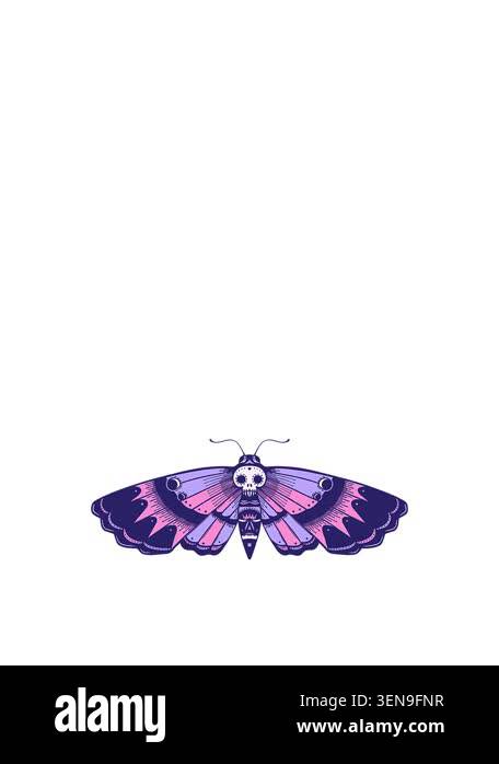 jumping motion animation of image of a deaths head moth Stock Video ...