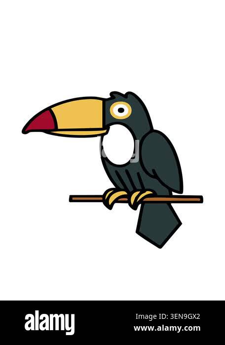 Vertical video showing animated toucan sitting on a branch, isolated on ...