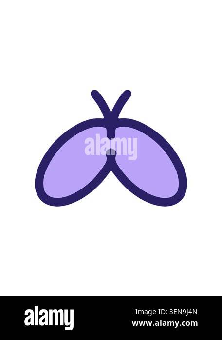 power up animation of simple but cute hand drawn butterfly Stock Video ...