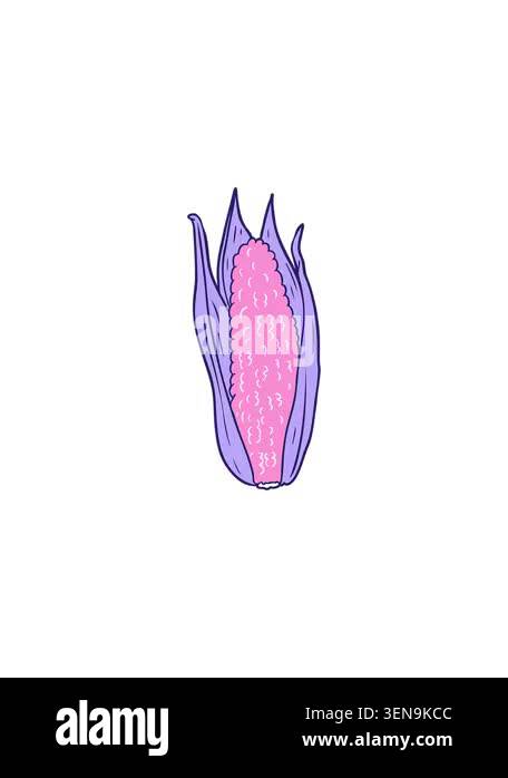 flashy sales animation of cartoon organic corn Stock Video Footage - Alamy