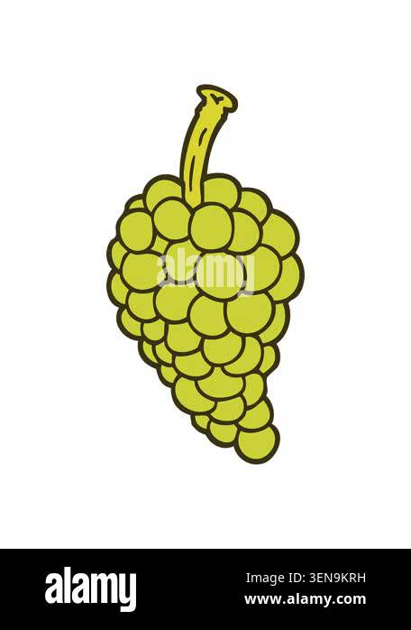 changing color animation of cartoon doodle bunch of grapes Stock Video ...
