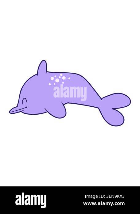 power up animation of cartoon dolphin Stock Video Footage - Alamy