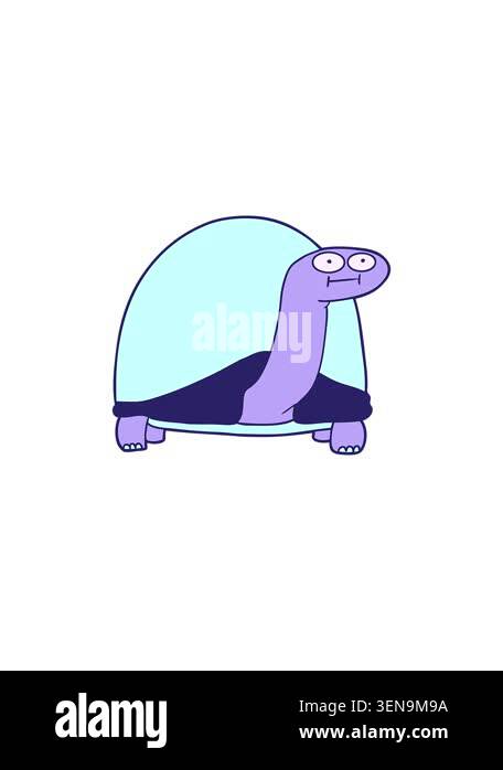 sales flash animation of design of a tortoise Stock Video Footage - Alamy