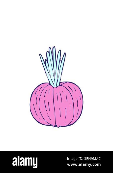 stretching up animation of cartoon drawing vegetable Stock Video ...