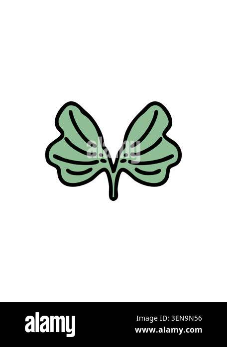 sales flash animation of traditional japanese ginko split leaf symbol ...