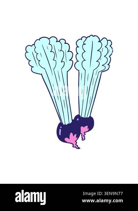 shaking motion animation of cartoon beetroots Stock Video Footage - Alamy