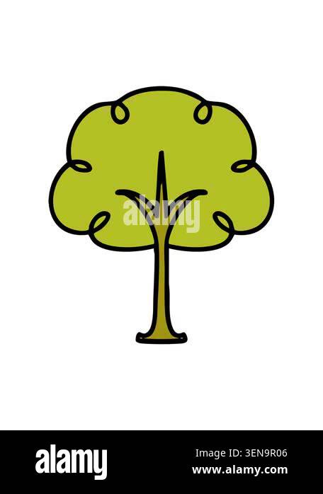 changing color animation of traditional Japanese cherry blossom tree ...