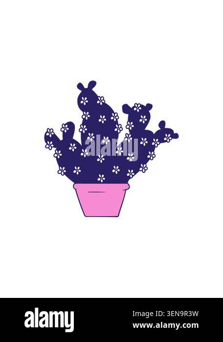 splitting effect animation of cartoon potted cactus Stock Video Footage ...