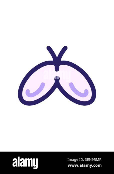 shivering motion animation of simple bold design of a butterfly Stock ...