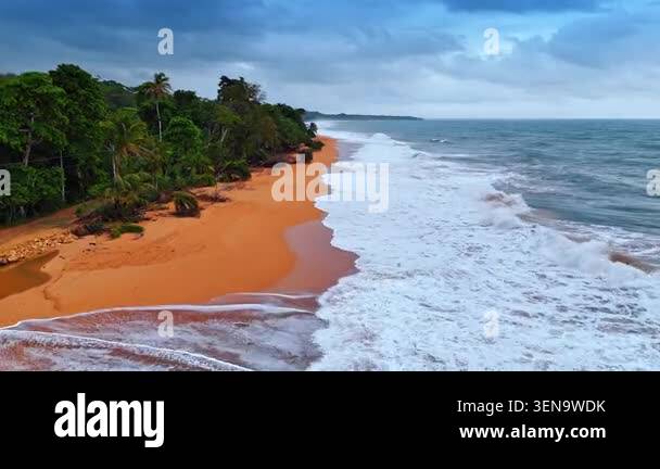 Aerial View Orange Sand Beach Waves Palm Trees Panama. White ocean ...
