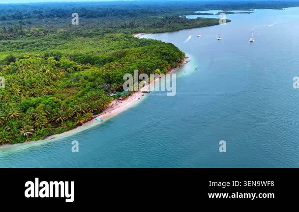Tropical Palm Coastline Beach Bar Catamarans Bocas del Toro. A palm ...