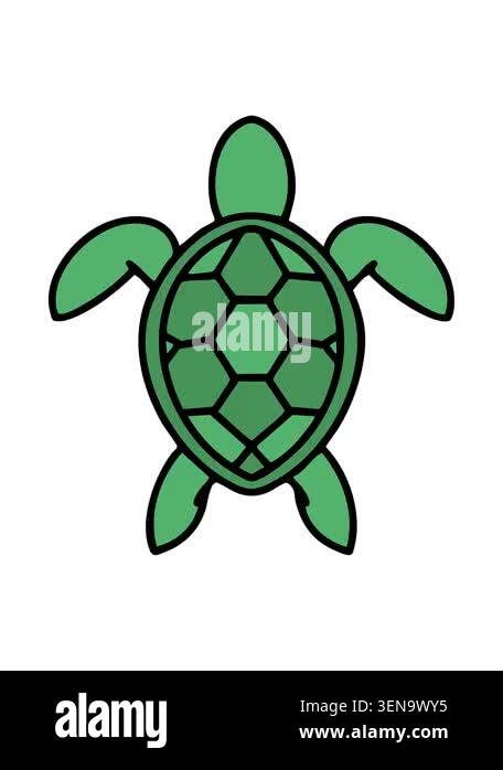 pixelize effect animation of brazilian turtle shown from above Stock ...