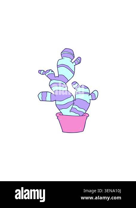 starburst effect animation of cartoon of cactus Stock Video Footage - Alamy