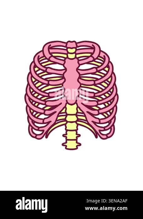 popping motion animation of iconic tattoo style image of a rib cage in ...