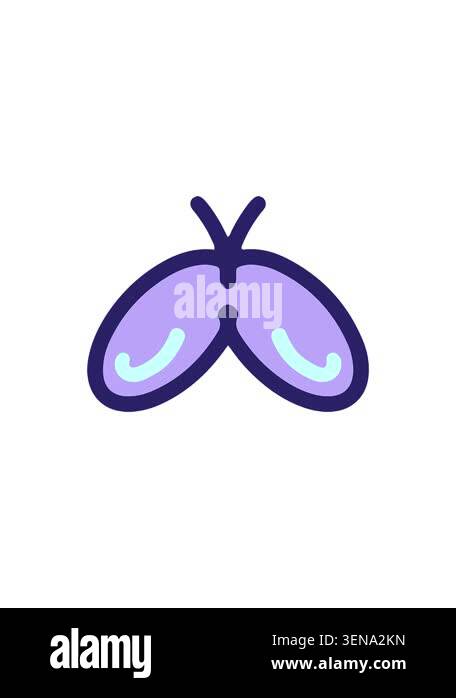 spinning motion animation of simple and bold butterfly drawing Stock ...