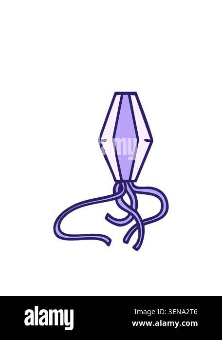 stretching up animation of brazilian flying carnival candle lantern ...