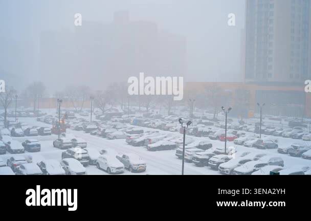 Snowy blizzard in New York City, USA. Snow covered numerous cars in the ...