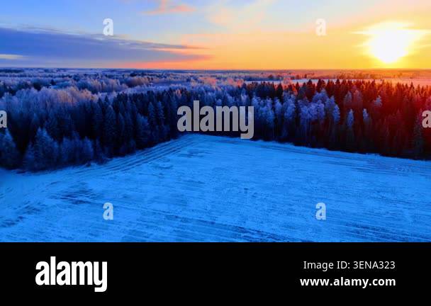 Sunset over frost-covered forest edge and snow field, Lapland, Finland ...