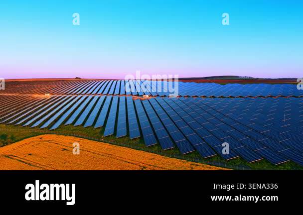 Vast solar field at dusk with pastel sky and canola edge. Twilight ...