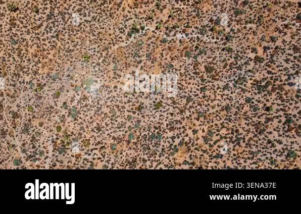 Approaching the dry landscape covered by sparse vegetation. Little ...