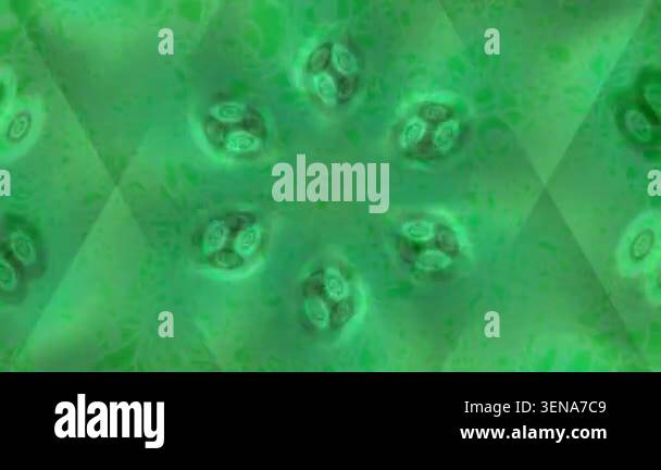 abstract background with bokeh lights Stock Video Footage - Alamy