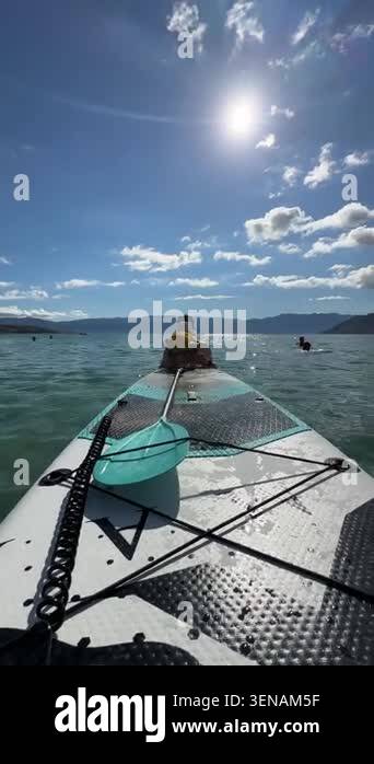 Father and child in calm lake by paddleboard Croatia Krk Stock Video ...