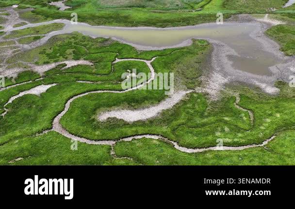 High altitude drone perspective flying forward over a beautiful green ...