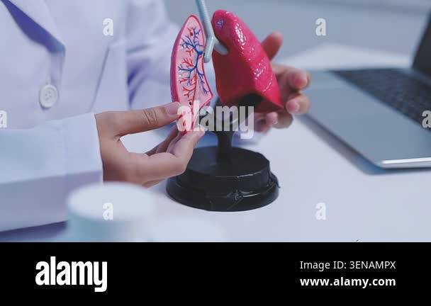 doctor in white uniform holding red ribbon Stock Video Footage - Alamy