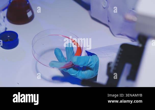 laboratory assistant holds a glass flask with blood Stock Video Footage ...