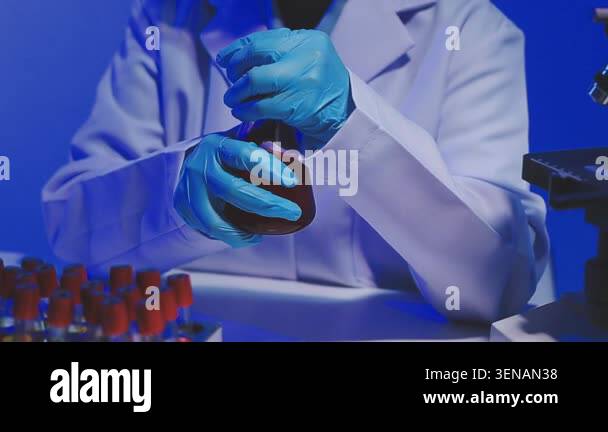scientist working in laboratory, close up view. scientist working in ...