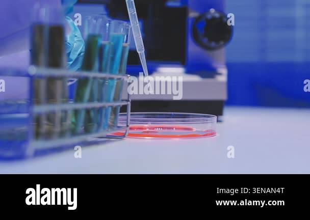 laboratory microscope and a glass of blood Stock Video Footage - Alamy