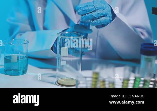 scientist working in laboratory with test tube, closeup Stock Video ...