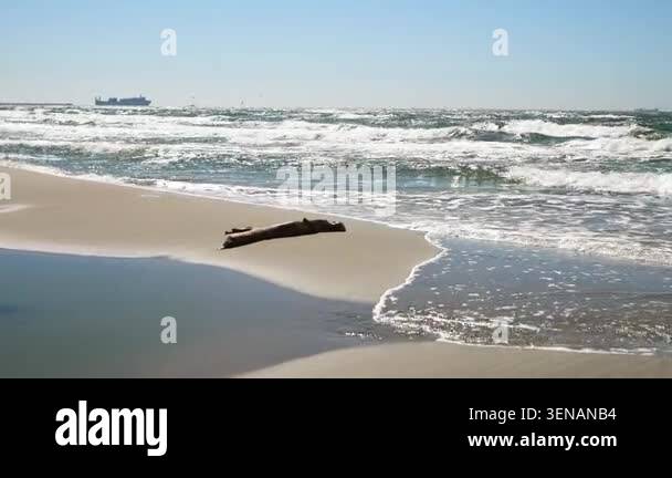 Calm sea waves gently crash onto sandy beach where solitary driftwood ...