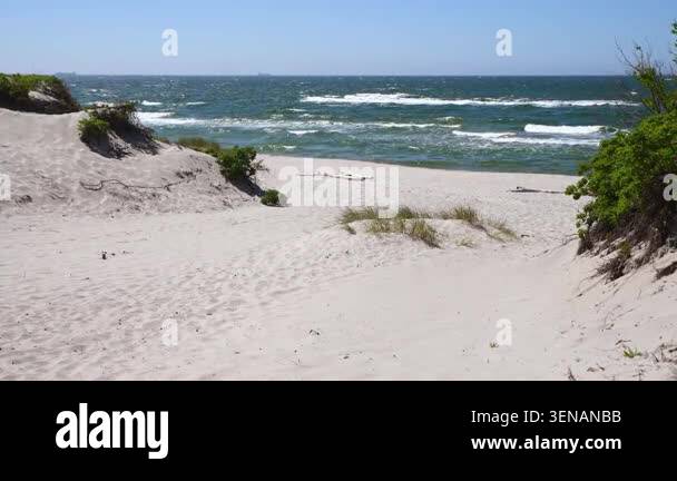 Quiet sandy shore with small dunes and sparse greenery leads to calm ...