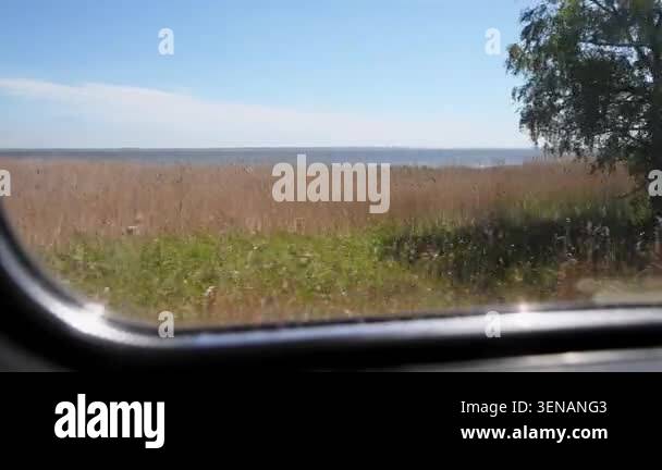Slow panoramic motion reveals calm natural landscape of tall dry grass ...
