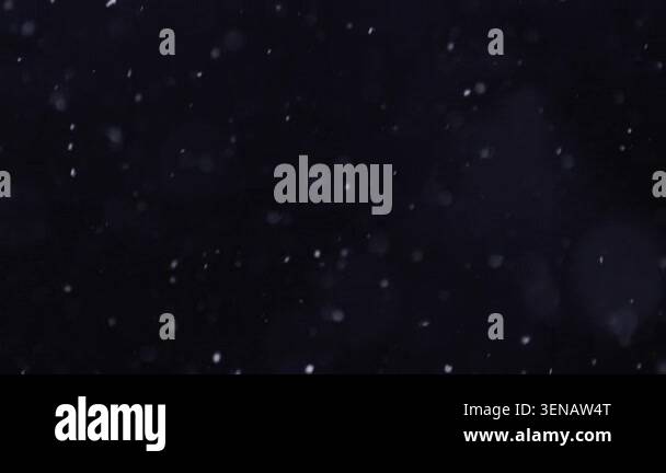 Falling snow with isolated white flakes. Falling snow for winter ...
