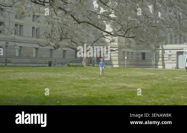 Child running in blooming park. Child running in daylight yard. Active ...