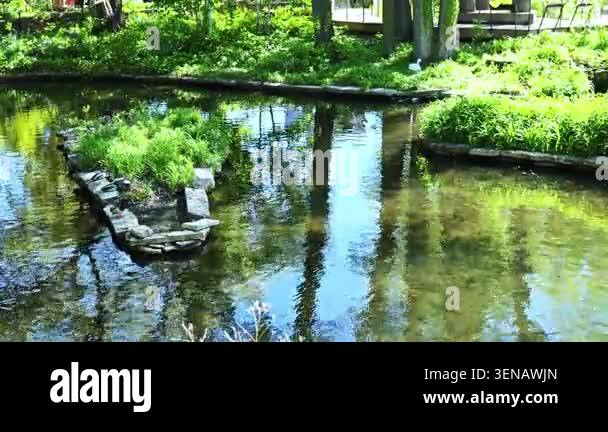 Visitors can see a pond with clear water. Small islands with grass grow ...