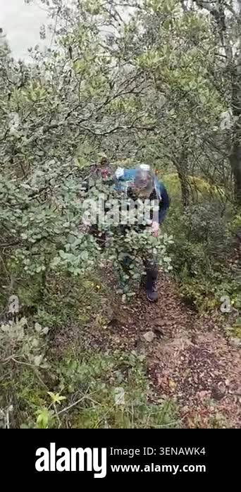 Two adventurous men, one mature and one young, hiking uphill along a ...