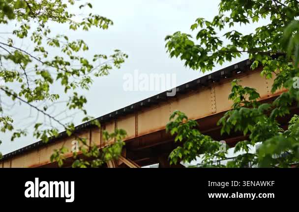 Train tracks run above ground level amid bright green leaves and trees ...