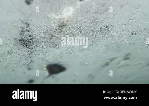 Water droplets gather on a transparent surface. The droplets vary in ...