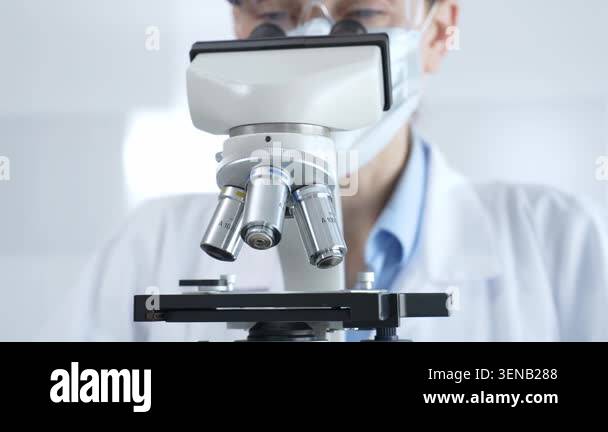 Female scientific researcher carefully adjusting microscope lens ...