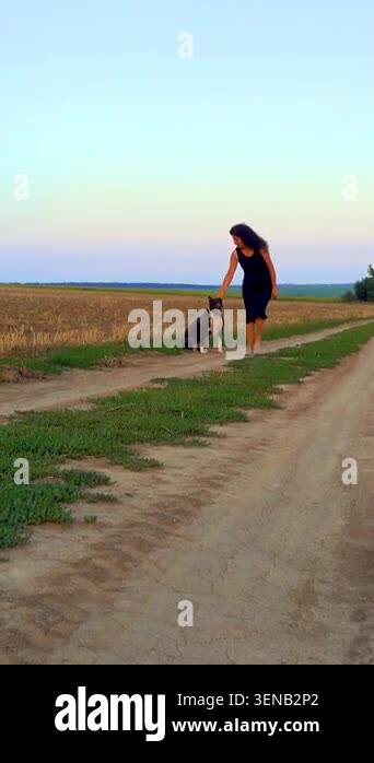 A beautiful young woman walks with a Staffordshire Terrier in a field ...