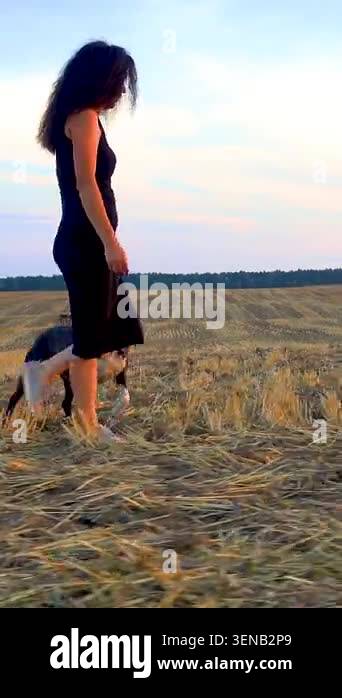 A beautiful young woman walks with a Staffordshire Terrier in a field ...