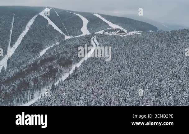 Aerial view of groomed snowy ski slopes cutting through a dense conifer ...