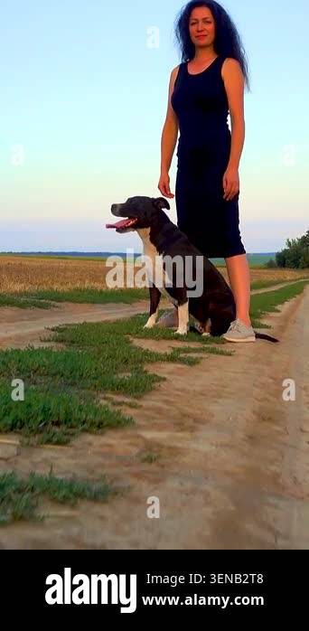 A beautiful young woman walks with a Staffordshire Terrier in a field ...