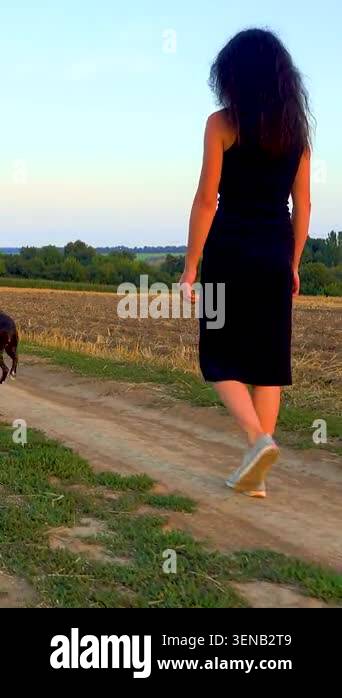 A beautiful young woman walks with a Staffordshire Terrier in a field ...