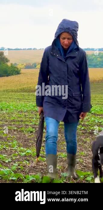 A woman walks her dog in a field after a thunderstorm. Girl with ...